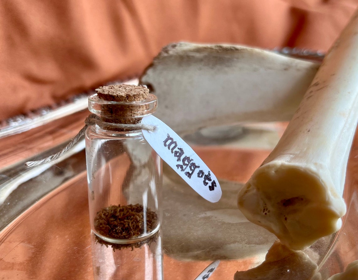 Maggots Witchy Halloween Decor Insects - Etsy