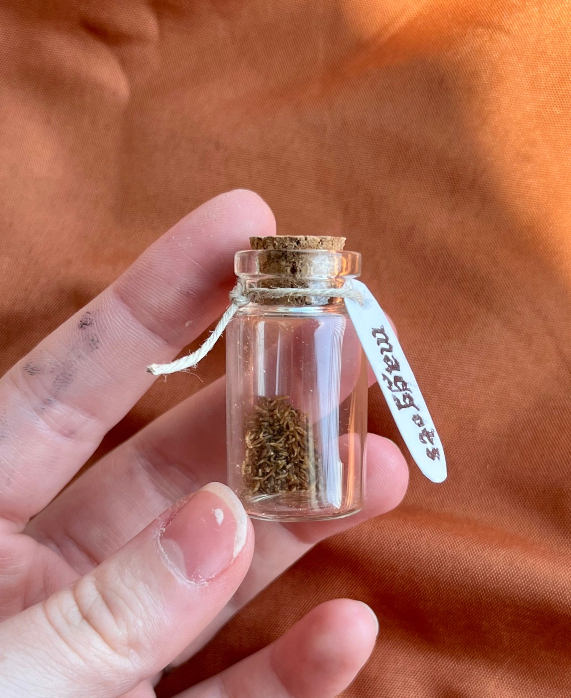 Maggots Witchy Halloween Decor Insects - Etsy