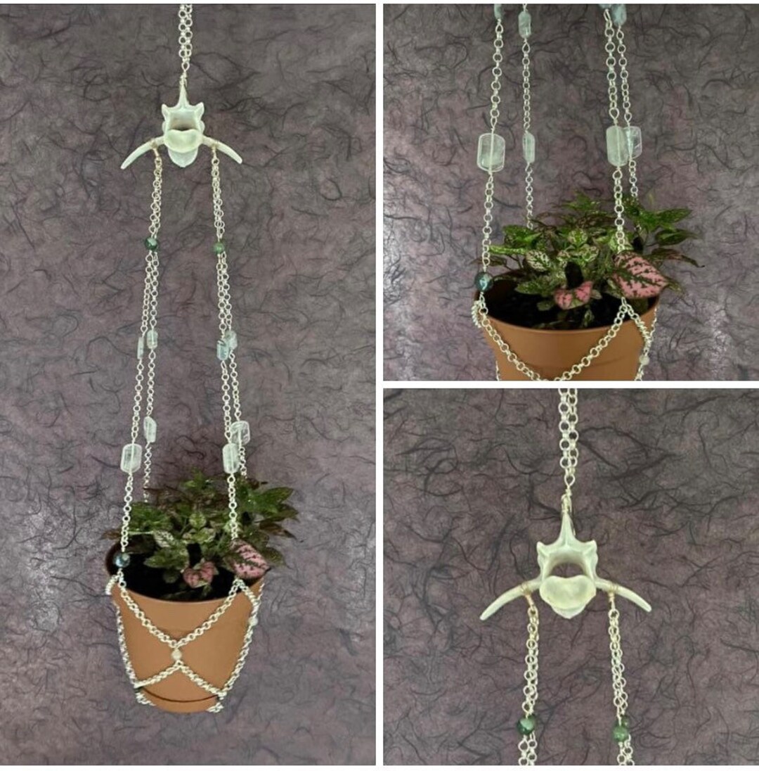 Plant Hanger, Hanging Planter, Bone Art, Gothic Décor, Oddities - Etsy