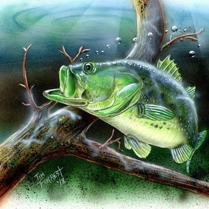 Bass Print - Etsy