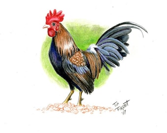 8x10" Limited Edition Print - Old English Game Rooster - Etsy