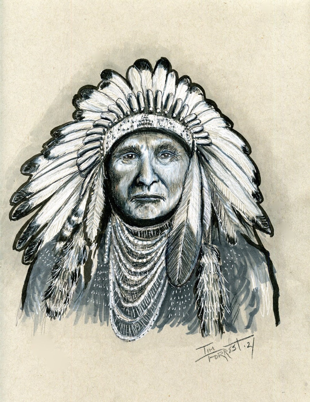 Chief Joseph of the Nez Perce Tribe Art Print. - Etsy