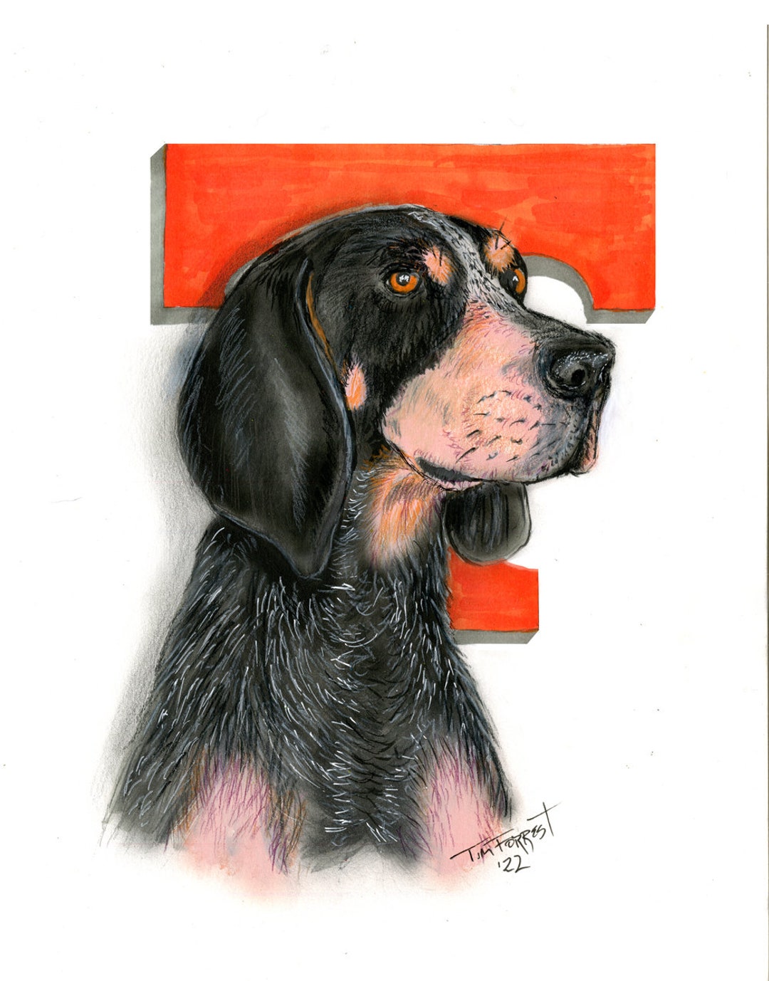 UT Vol Mascot Smokey - Etsy