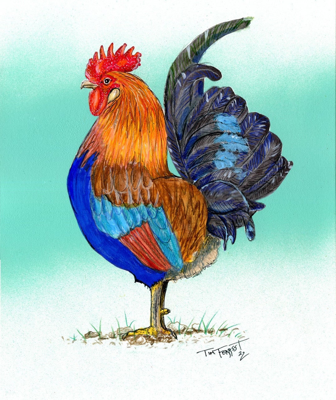 Rooster Strut Art Print - Etsy