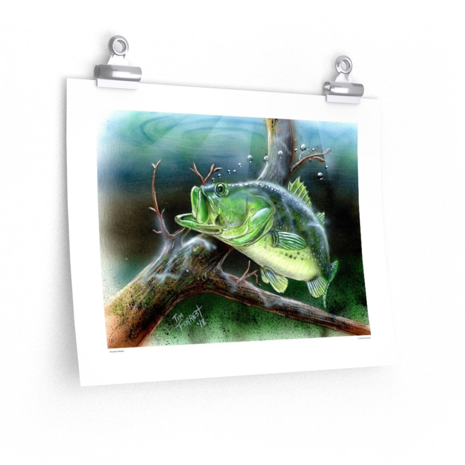 Bass Print - Etsy