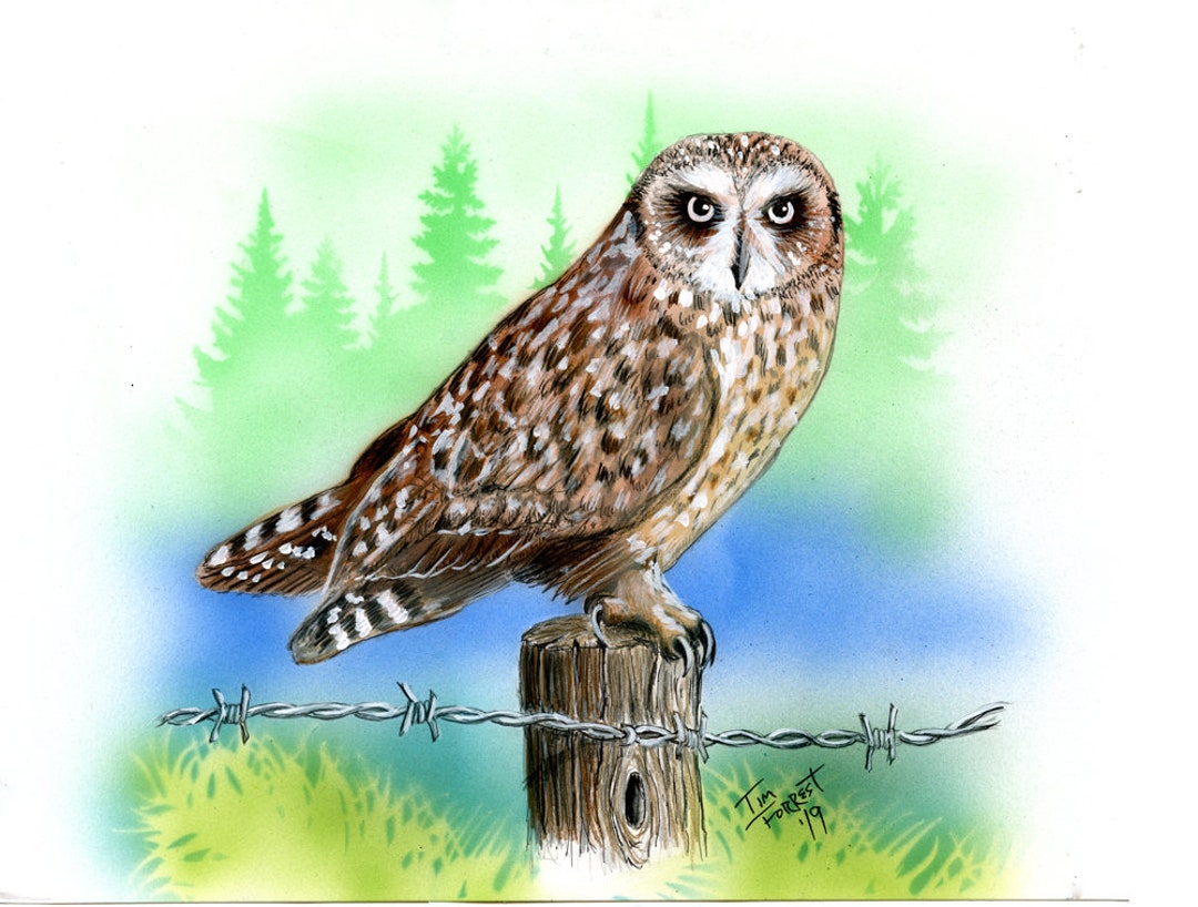 Owl on Fence Post Print - Etsy Canada