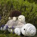 Tilly and Tommy Tortoise Crochet Toy Pattern in Flutterby Chunky ...
