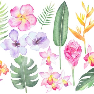 Watercolor Clipart Set tropical Flora, Summer Wedding, Pre-made Frames ...