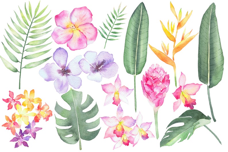 Watercolor Clipart Set tropical Flora, Summer Wedding, Pre-made Frames ...