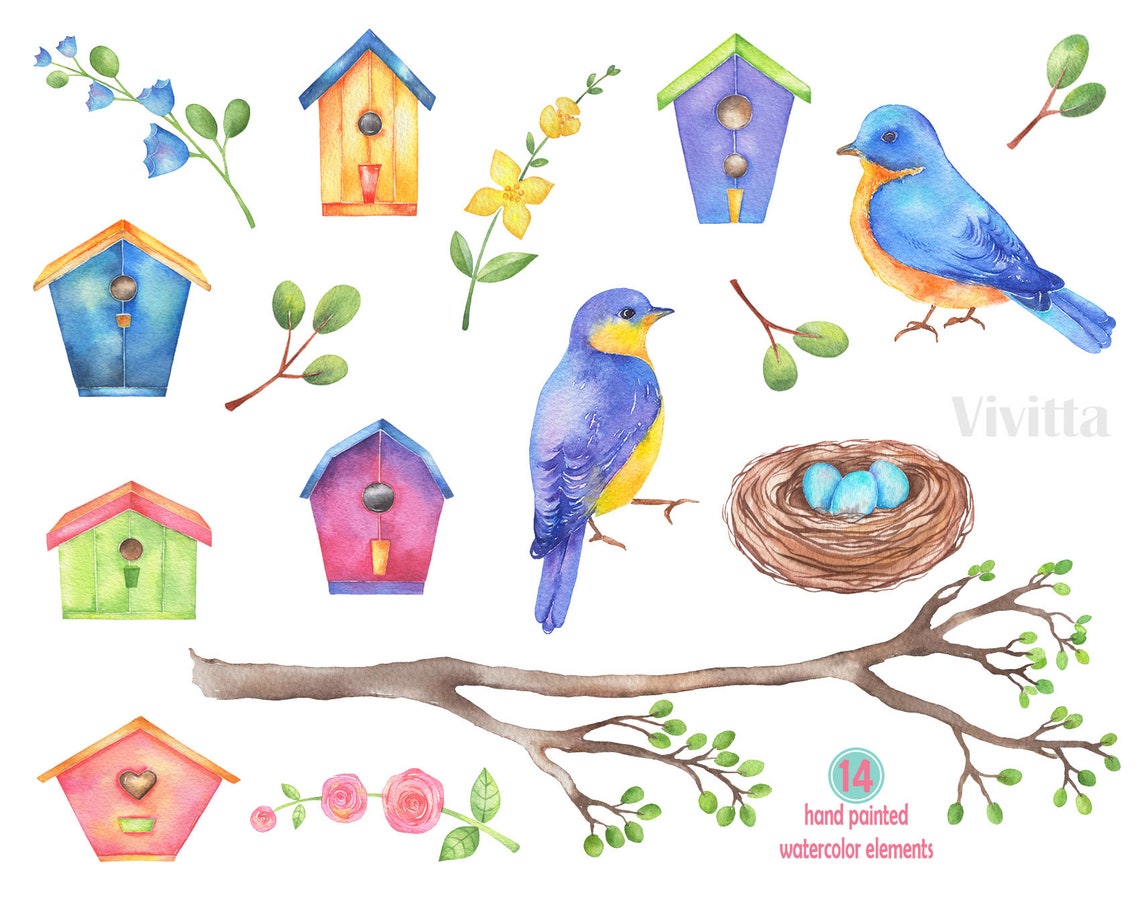 Spring Birdy Watercolor Clipart Set - Etsy