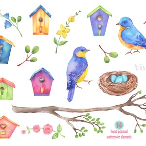 Spring Birdy Watercolor Clipart Set - Etsy