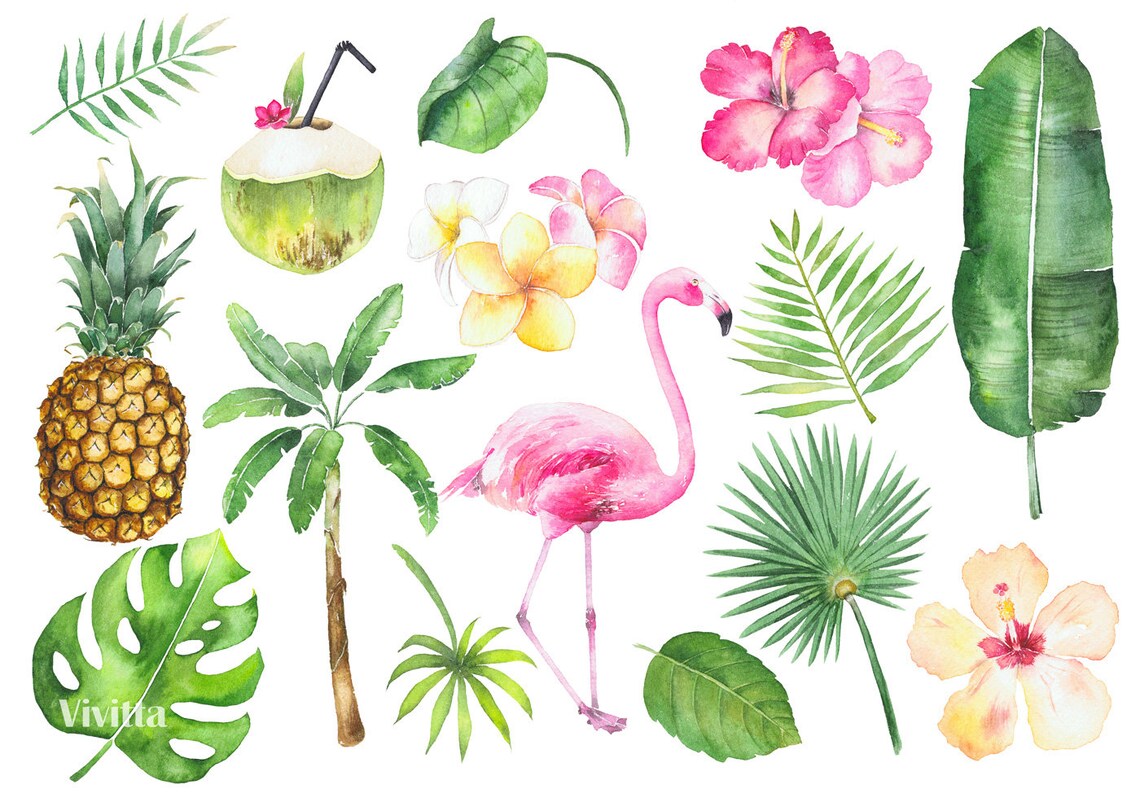 Watercolor Tropical Set. Digital Clipart Flamingo, Palms, Monstera ...
