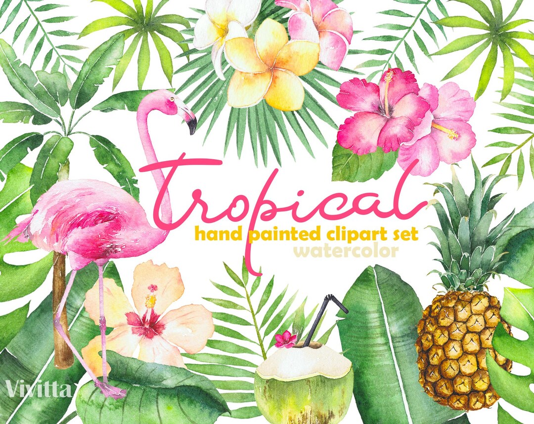 Watercolor Tropical Set. Digital Clipart Flamingo, Palms, Monstera ...