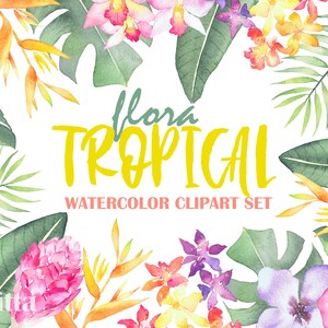 Watercolor Clipart Set tropical Flora, Summer Wedding, Pre-made Frames ...
