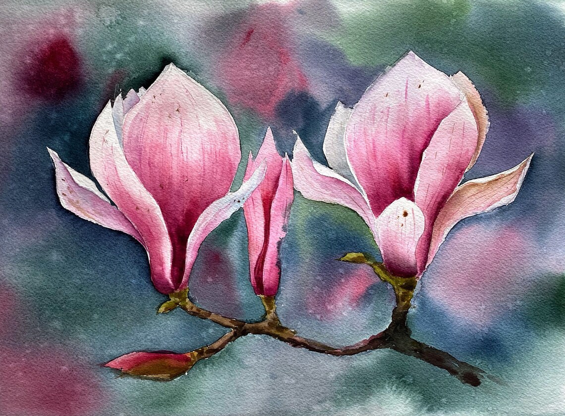 Original Watercolor Painting Flowers, Pink Magnolia on Dark Background ...