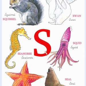Animal Alphabet Letter S Nursery Print Children's | Etsy