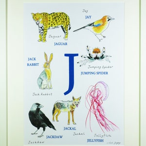 Animal Alphabet Letter J Animals beginning with J | Etsy