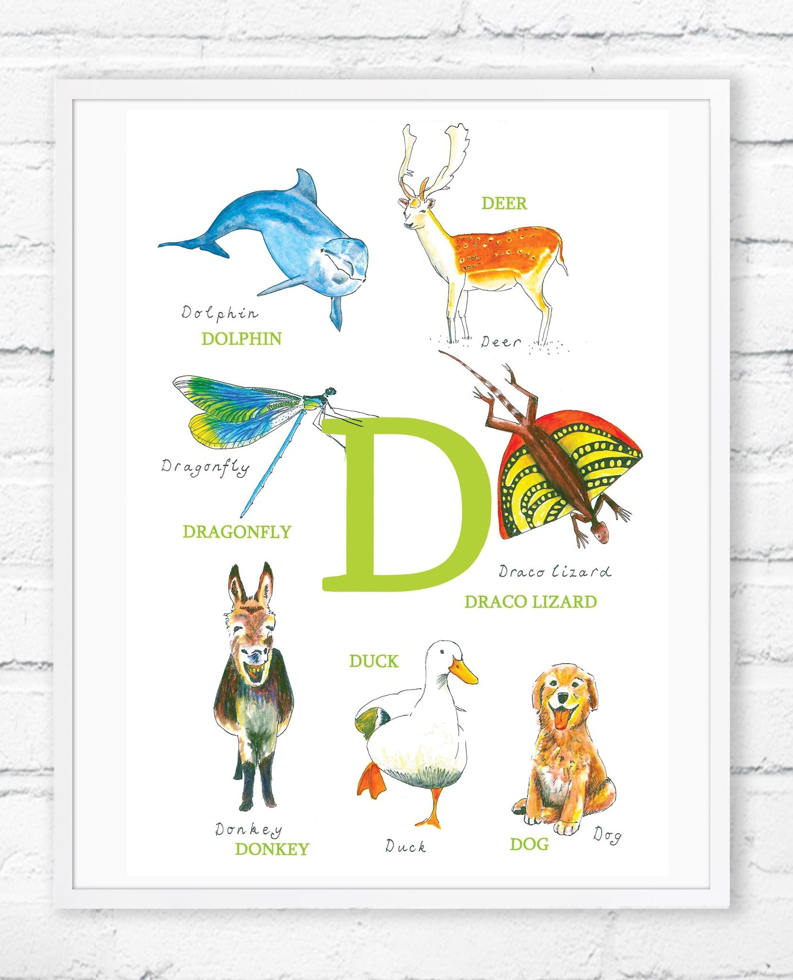 Letter D, Animal Alphabet Letter D, Children’s Picture; Baby First ...