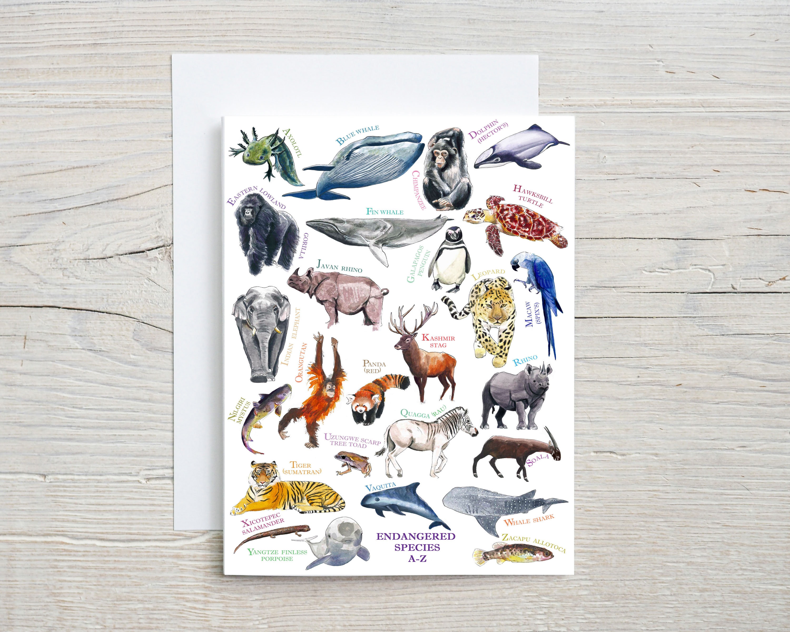 Endangered Species A-Z; Animal Alphabet Endangered and Critically ...