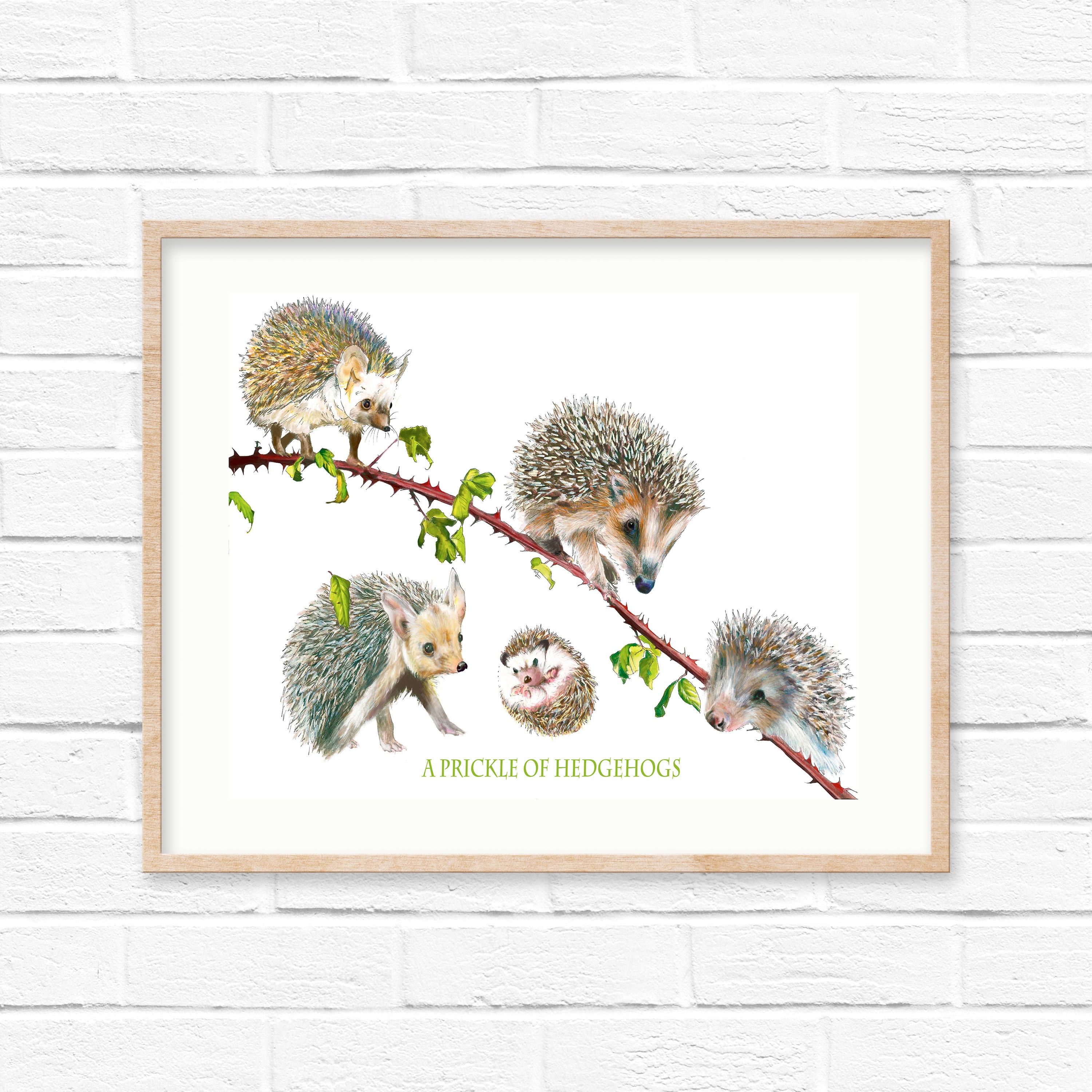 A Prickle of Hedgehogs Collective Noun Print - Etsy UK