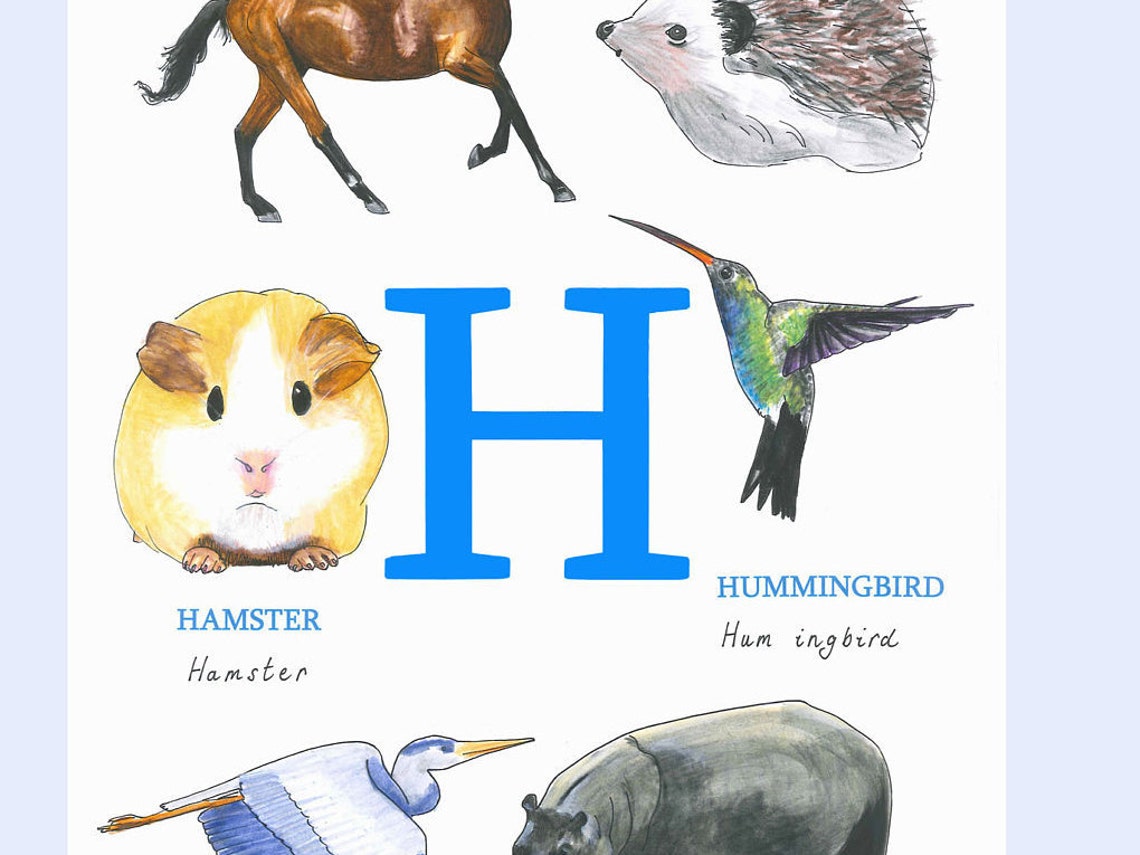 Animal Alphabet Print Letter H H Paintingchildrens - Etsy
