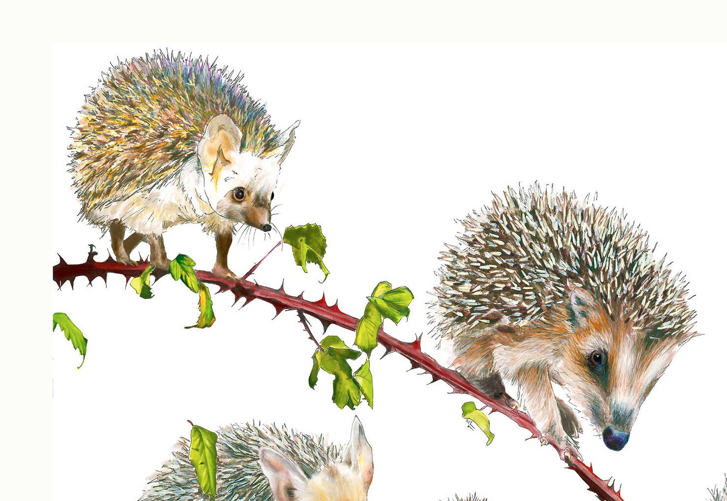 A Prickle of Hedgehogs Collective Noun Print - Etsy