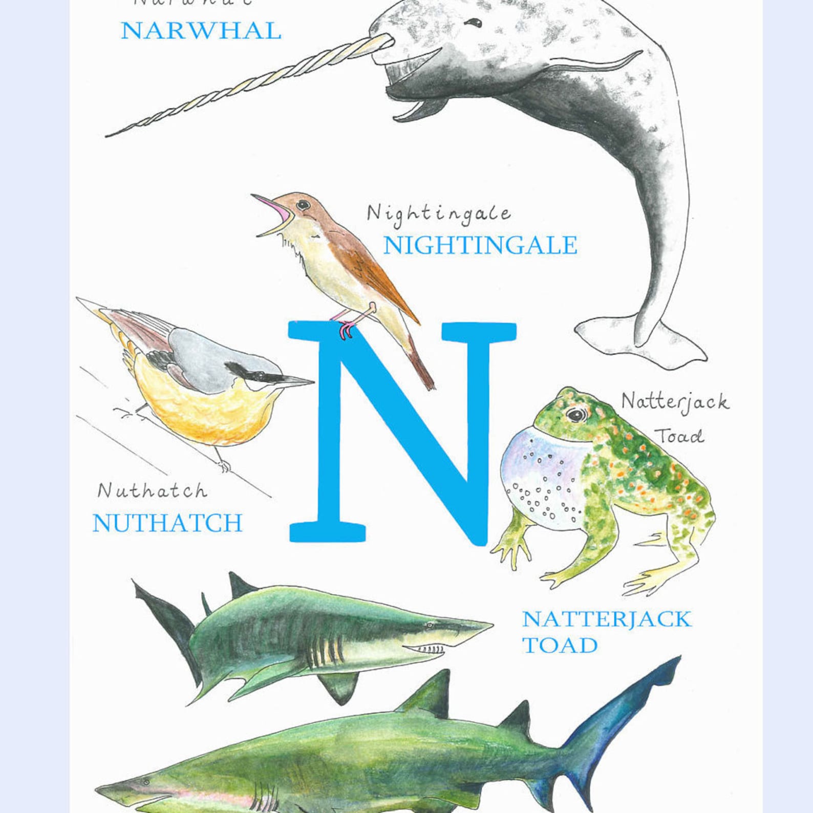 Animal Alphabet Letter N Nursery Print Baby First Christmas | Etsy UK