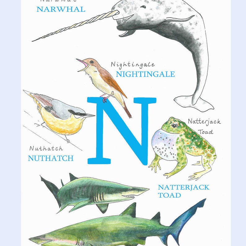 Animal Alphabet Letter N Nursery Print Baby first Christmas | Etsy