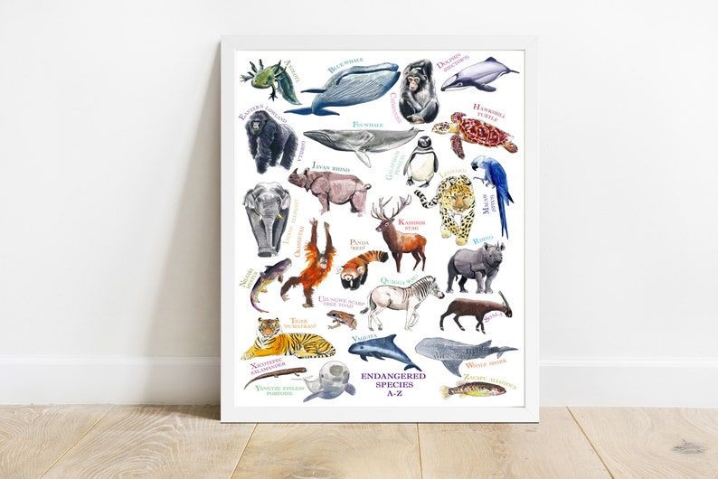 Endangered Species A-Z Animal alphabet Endangered and Critically ...
