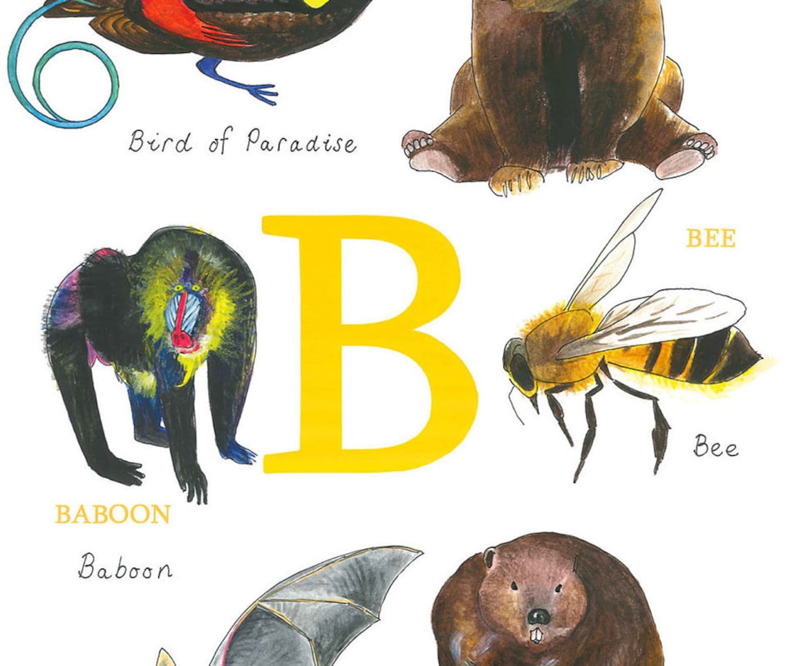 Animal Alphabet Letter B Childrens picture Personalised | Etsy