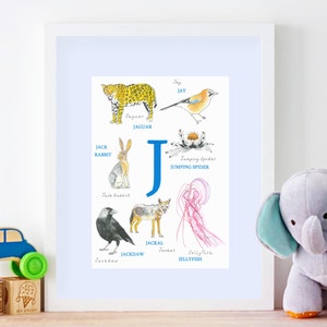 Animal Alphabet, Letter J; Animals Beginning With J; Children’s Picture ...