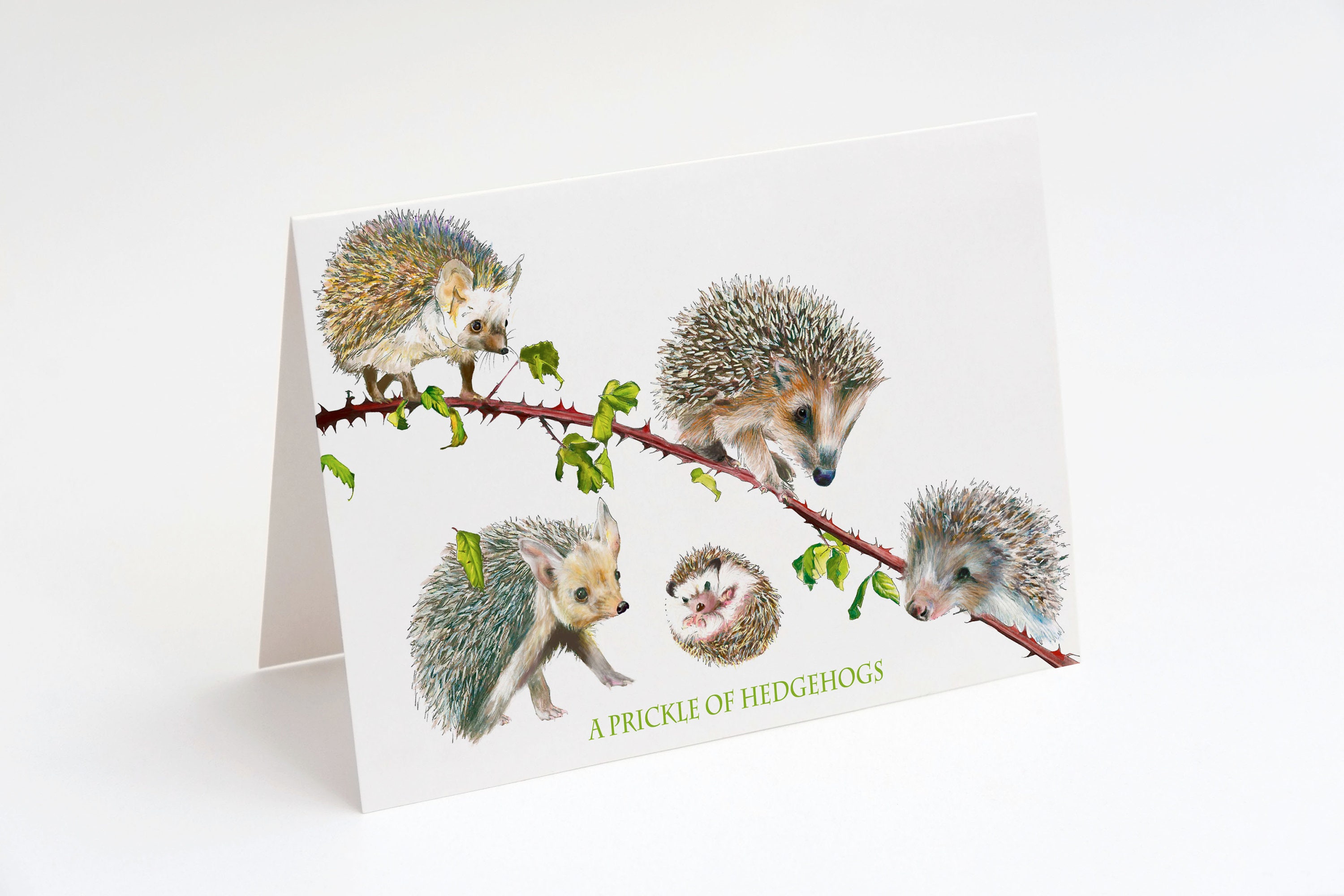 A Prickle of Hedgehogs Collective Noun Greetings Card; Birthday Card ...