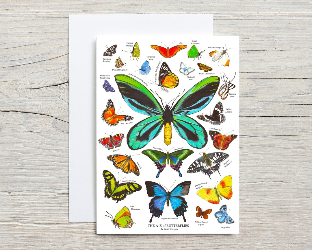 Butterfly A-Z Card A-Z Butterflies Card, Butterfly Categories Card - Etsy