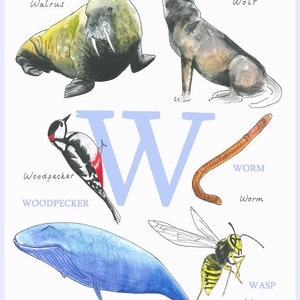 Letter W Print Nursery picture Animal Alphabet Letter W | Etsy