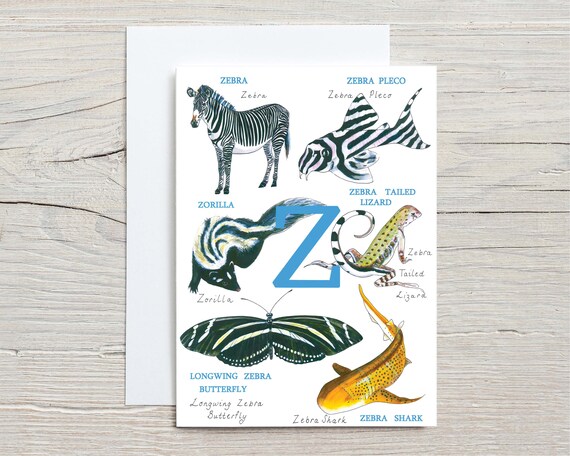 Letter Z Card Animal Alphabet Letter Z Card Initial Letter Z - Etsy