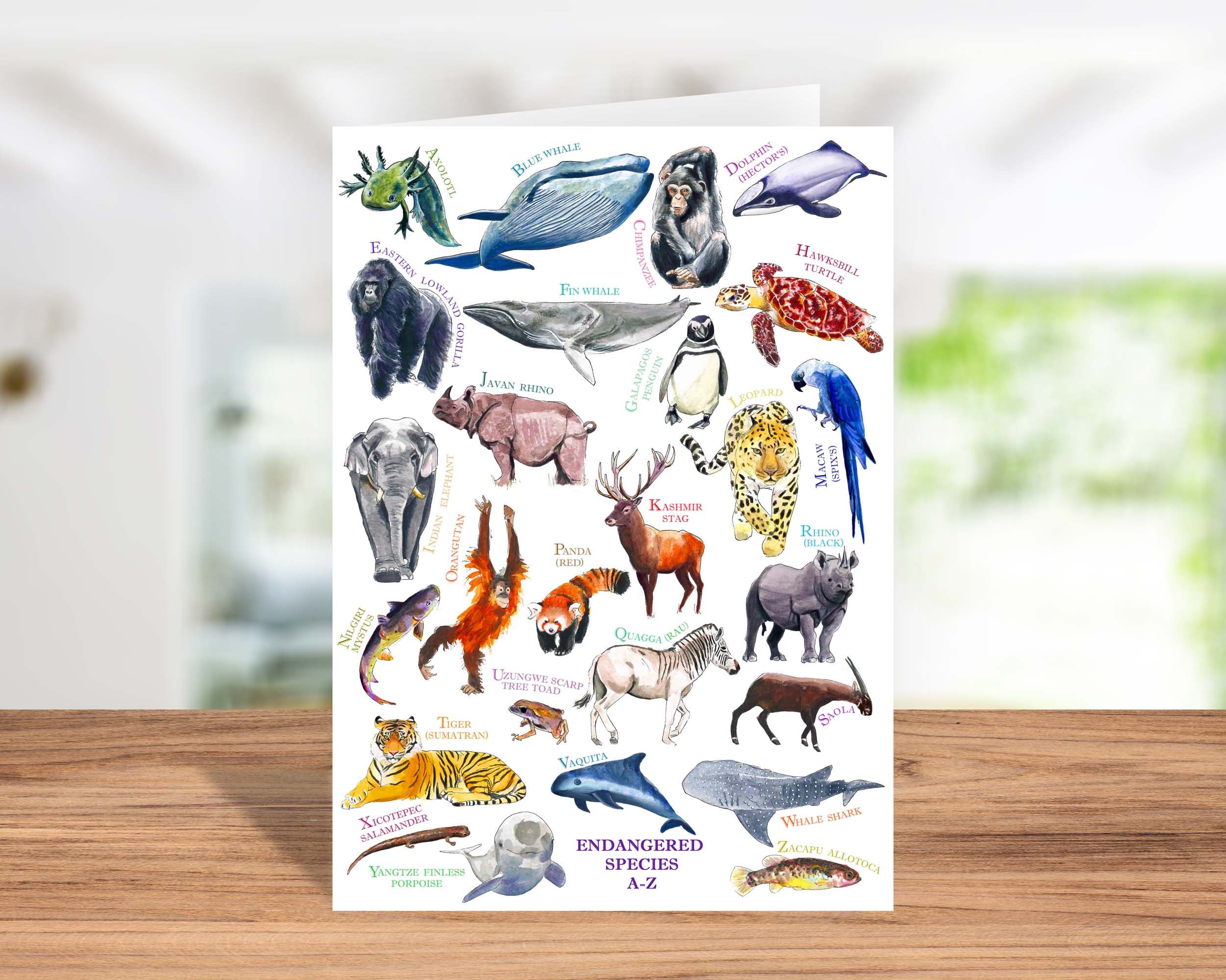 Endangered Species A-Z Greetings Card, A-Z Endangered Species Card - Etsy