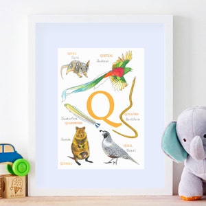 Animal Alphabet Letter Q Childrens Print Baby 1st | Etsy