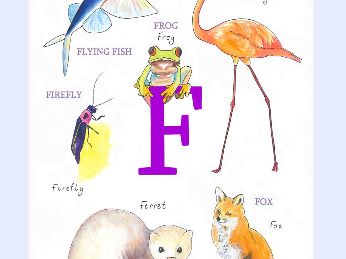 Animal Alphabet Letter F print animal pictures baby gift | Etsy