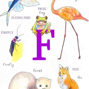Animal Alphabet Letter F print animal pictures baby gift | Etsy