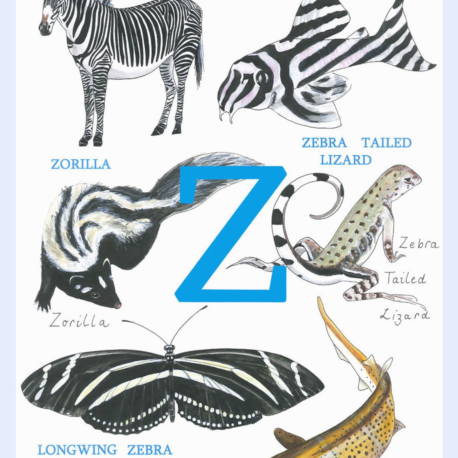 Animal Alphabet Letter Z Nursery Picture Childrens Picture | Etsy