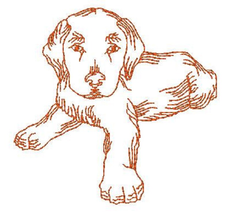 Labrador Retriever Dogs 10 Machine Embroidery Designs From - Etsy