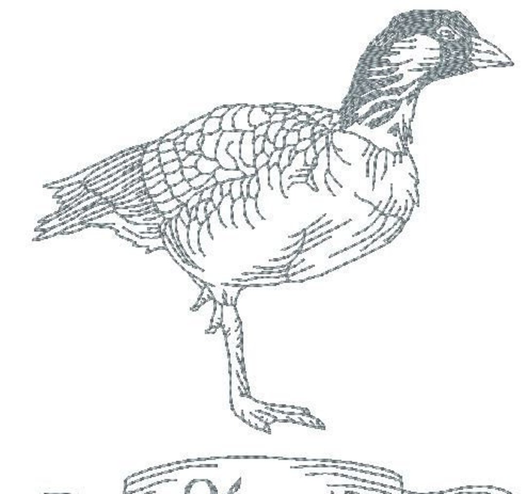 Redwork State Birds - Set 2 - Machine Embroidery Designs - Etsy