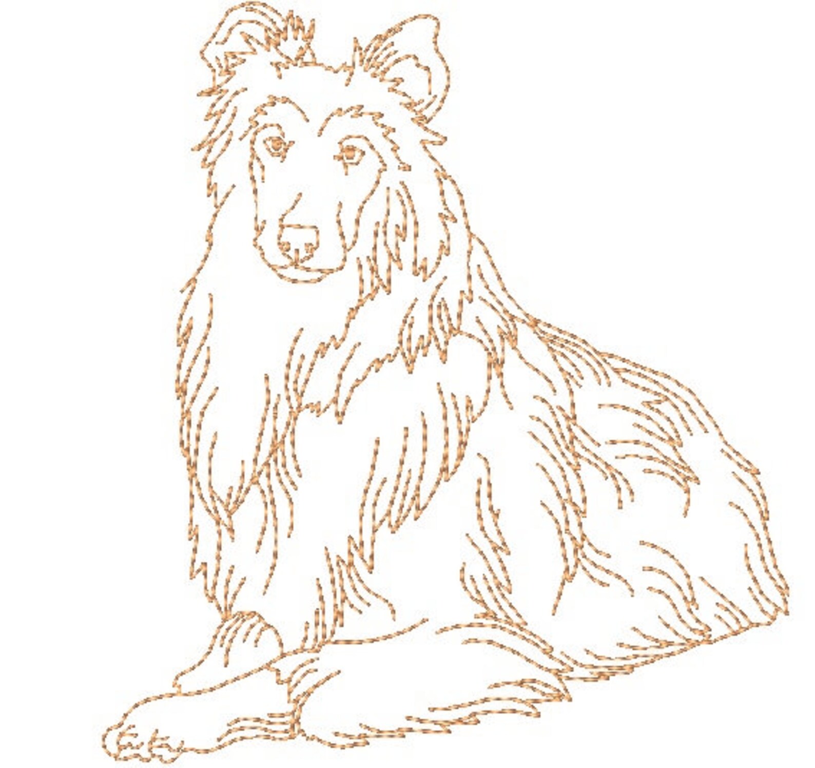 Collie Dogs 11 Machine Embroidery Designs | Etsy