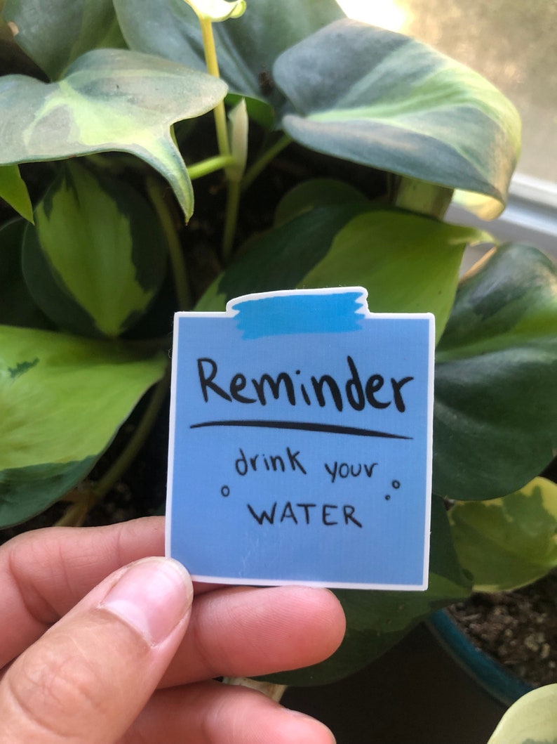 Reminder Drink Your Water Sticker || Water Bottle Sticker | Cute ...