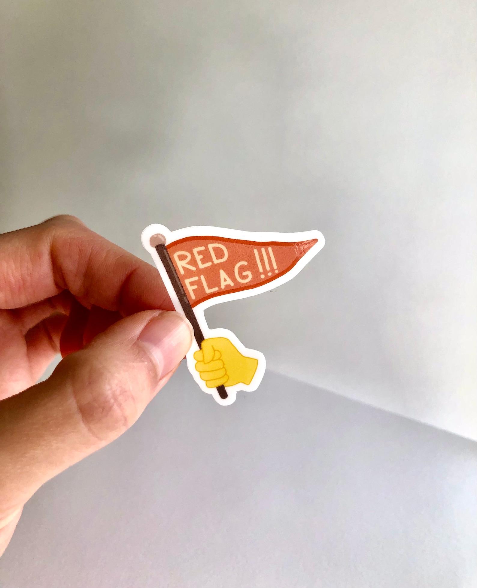 Red Flag Sticker || Water Bottle Sticker | Cute Sticker | Gift for ...