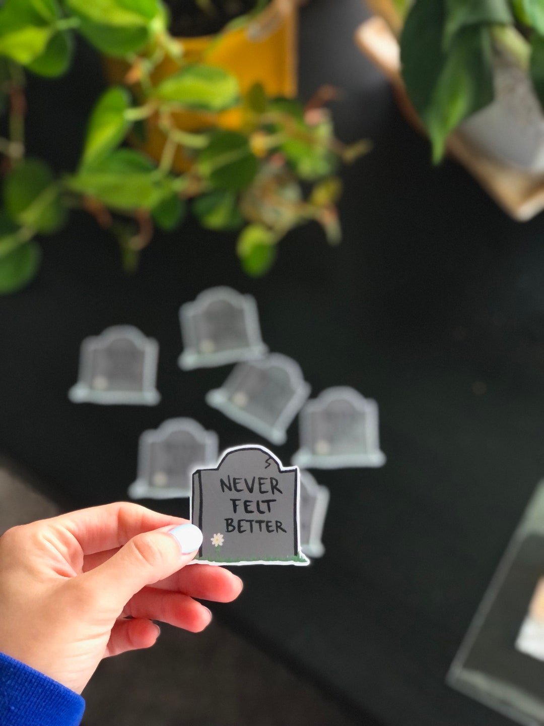 Sticker || Never Felt Better | Water Bottle Sticker | Cute | Gift for ...