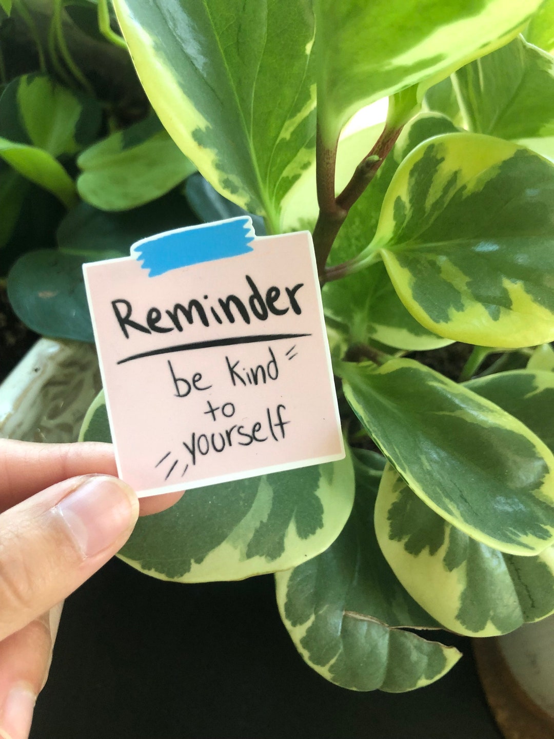 Reminder Be Kind to Yourself Sticker || Water Bottle Sticker | Cute ...