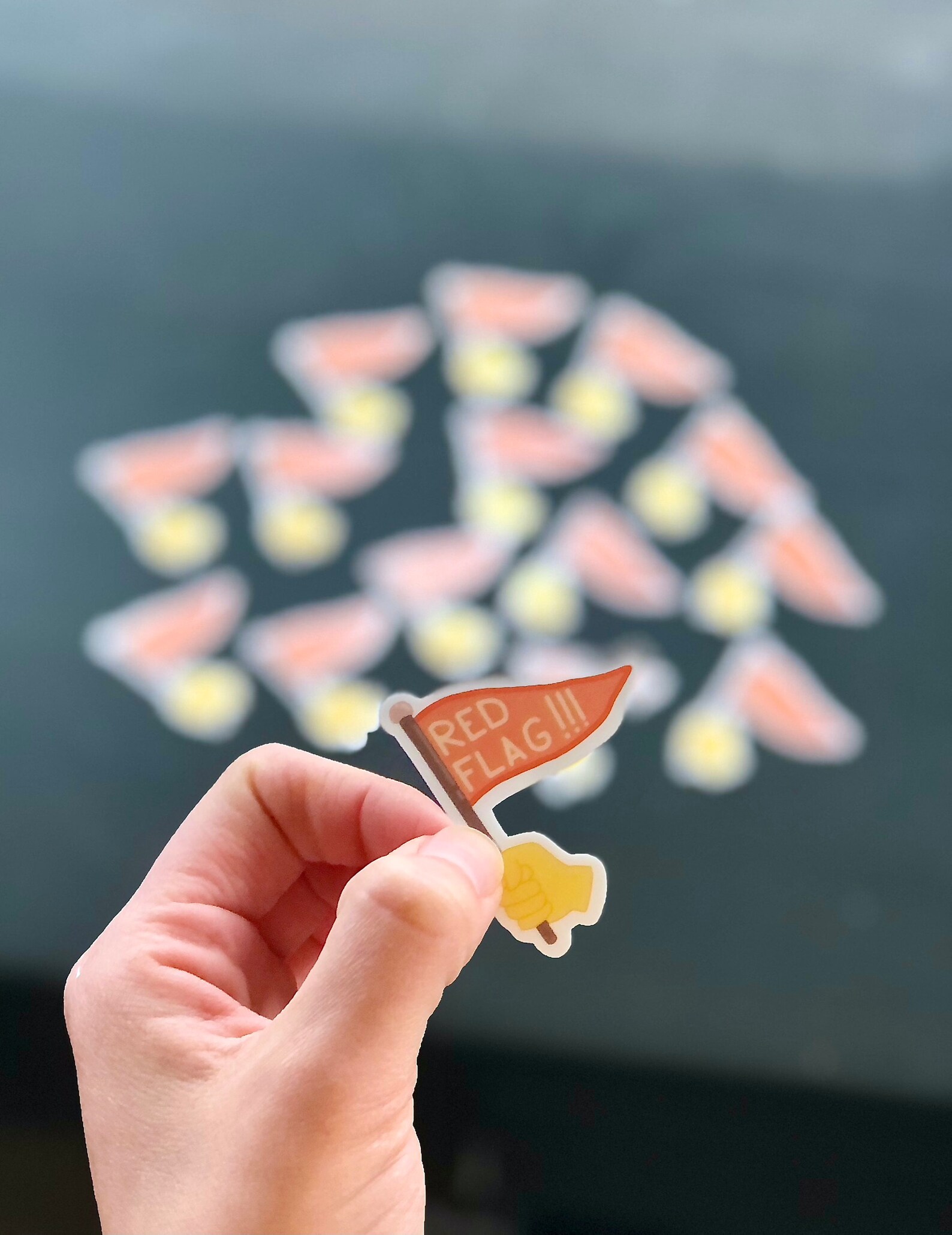 Red Flag Sticker || Water Bottle Sticker | Cute Sticker | Gift for ...