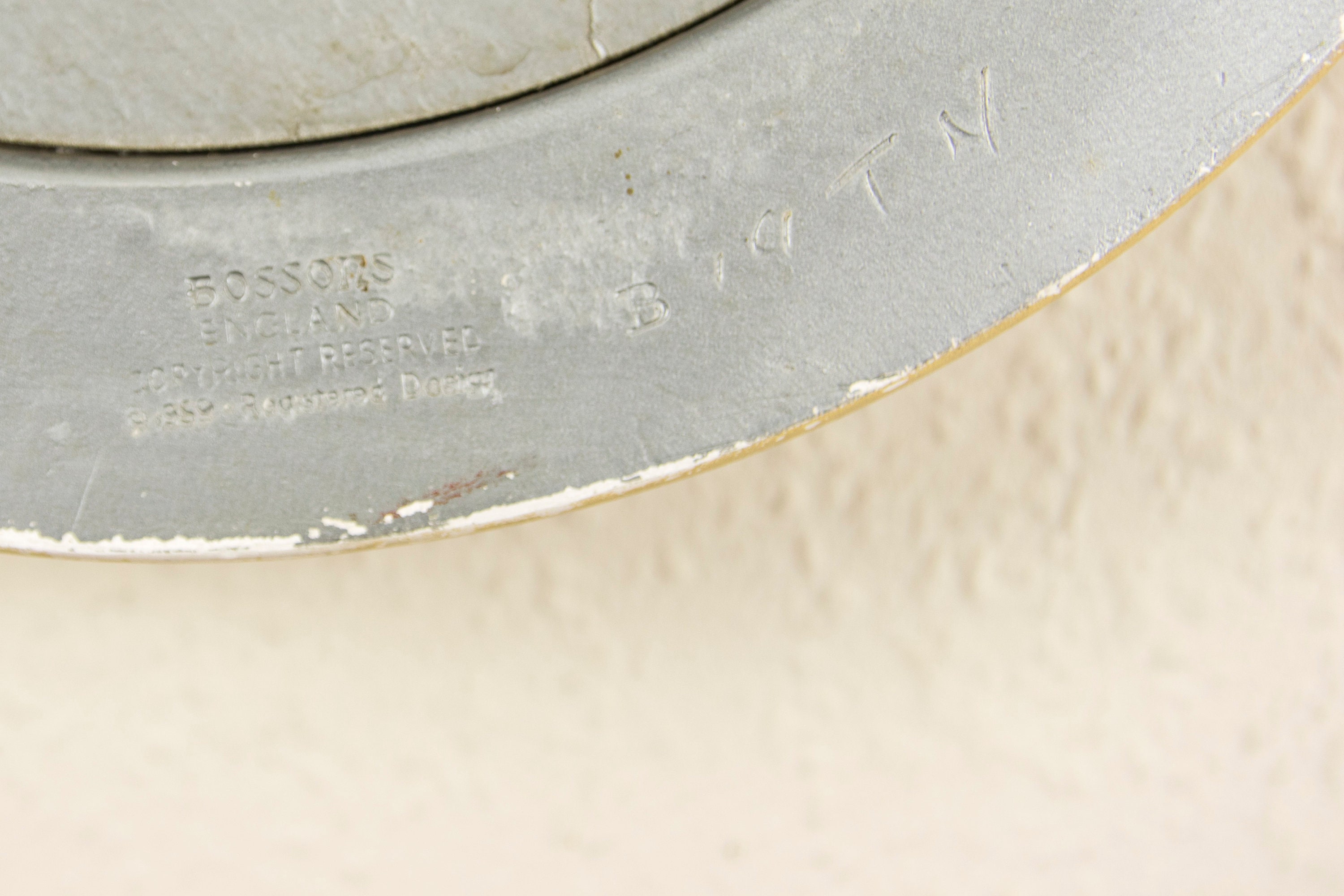 RARE Beautiful Bossons Anemones All-over Wall Convex Domed - Etsy