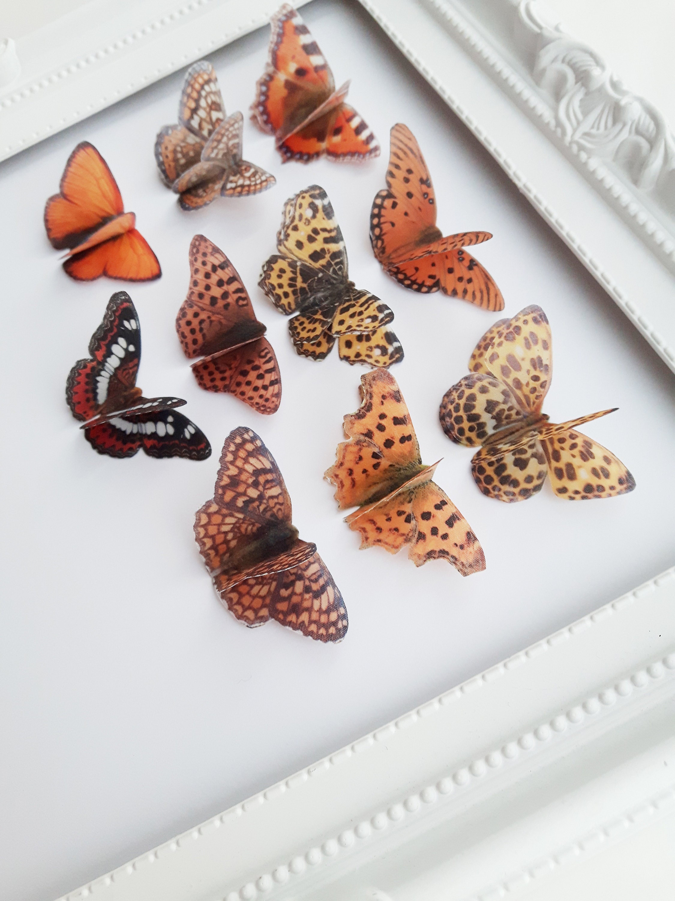 Earthly Coloured Butterflies. Choose 3 butterflies from a | Etsy
